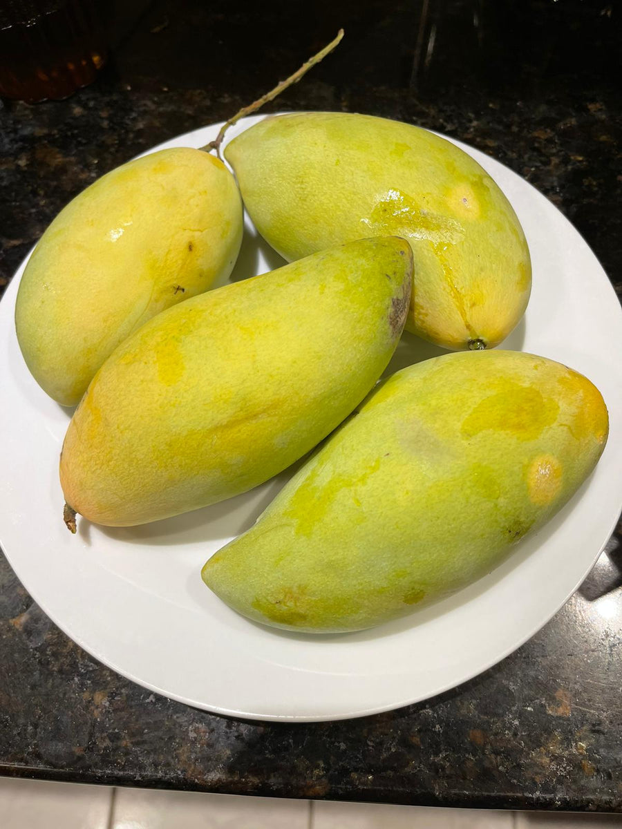 Mangó Nam Dok Mai – Jibarito Urbano