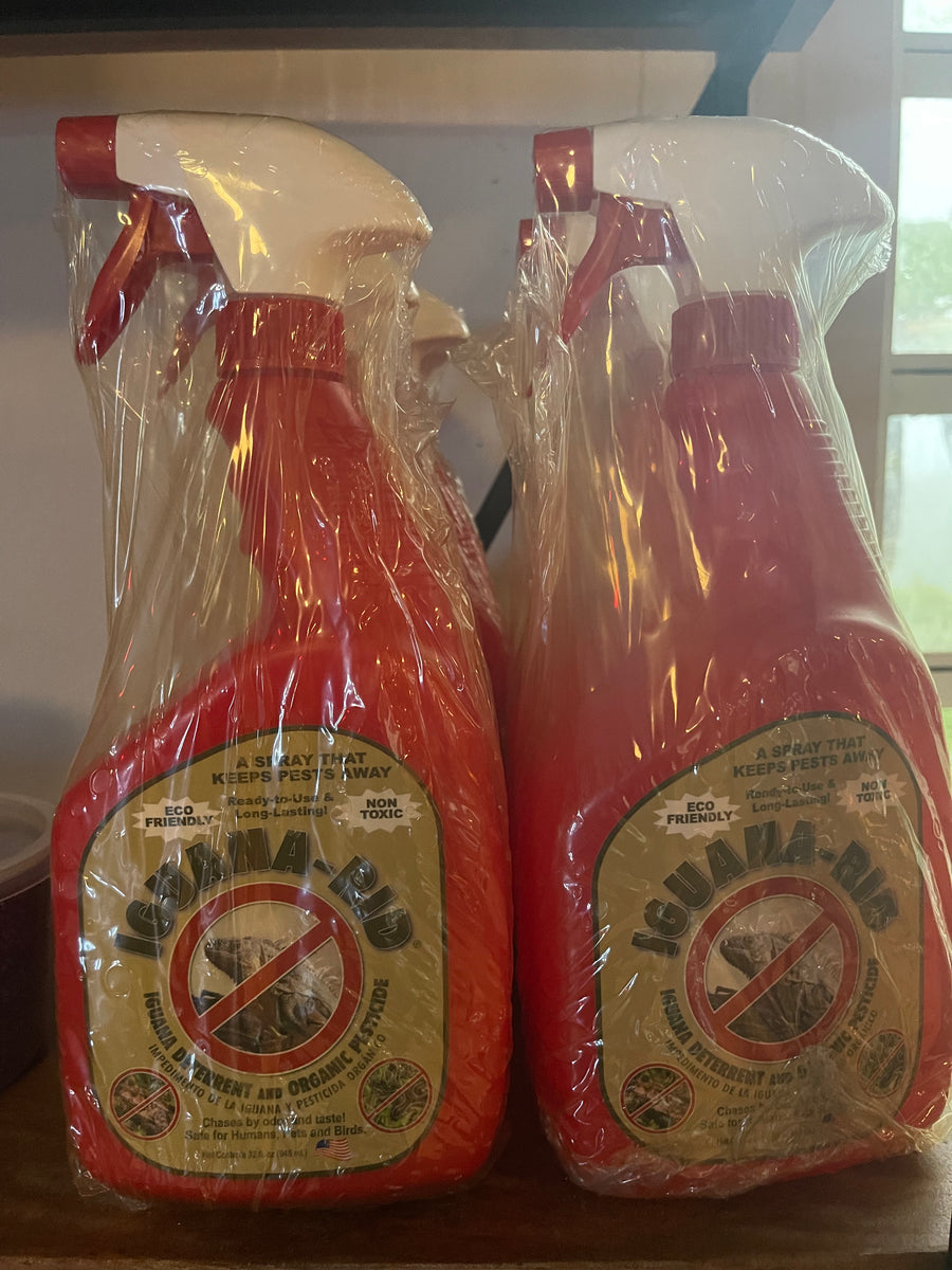 Iguana Rid – Jibarito Urbano