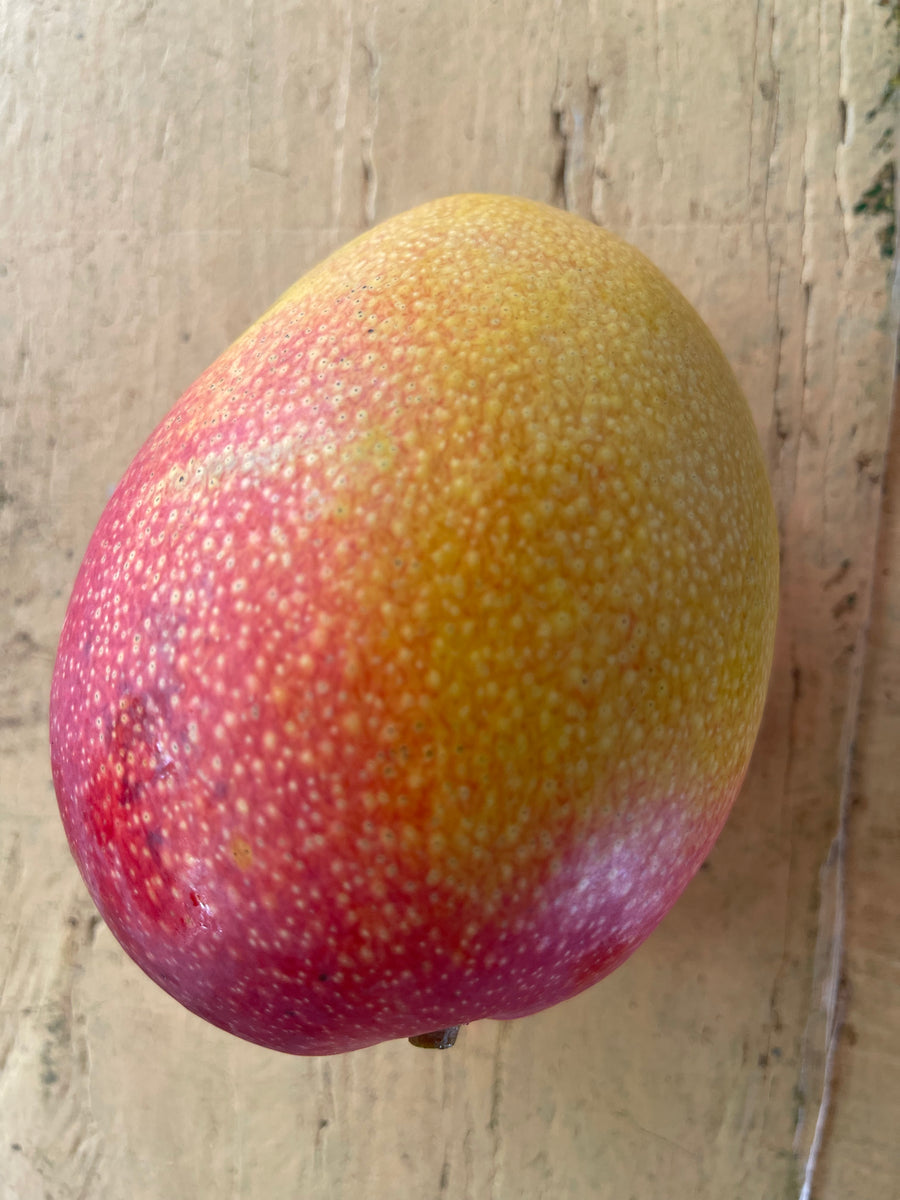 Mangó Haden – Jibarito Urbano