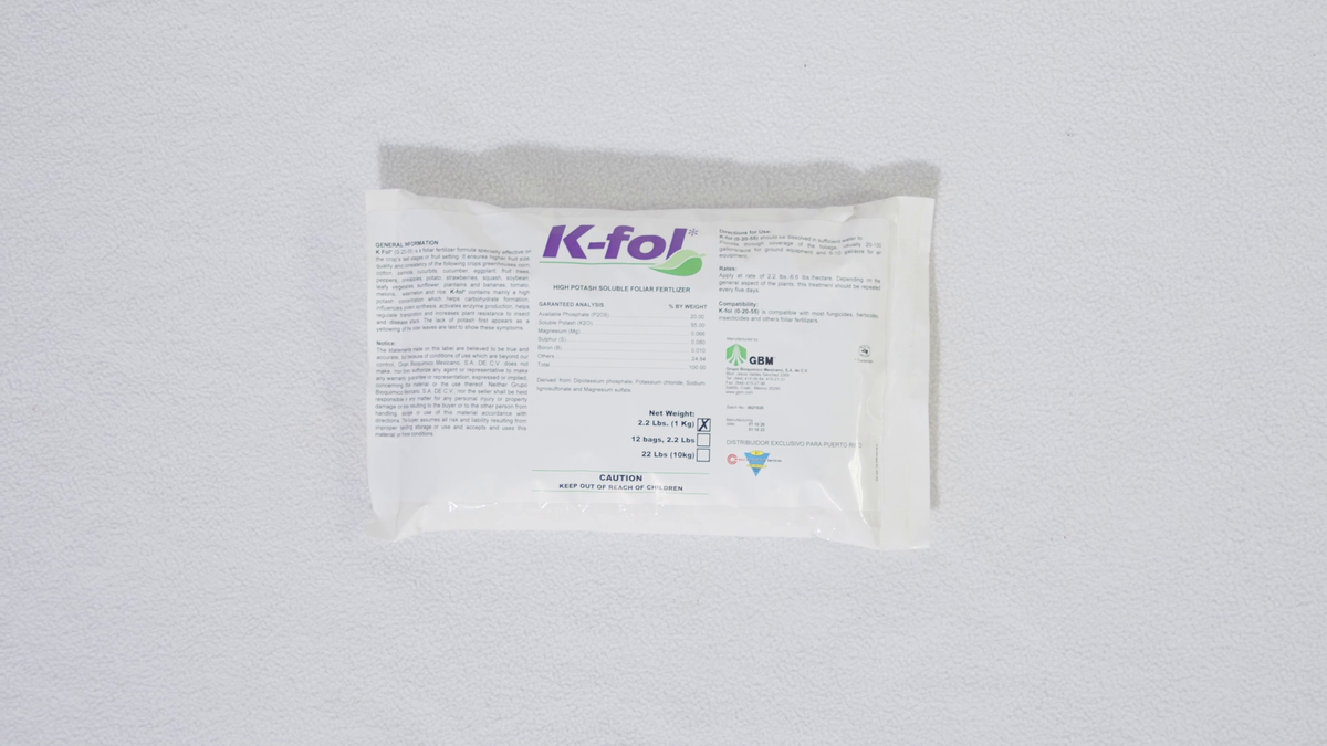 Abono Kfol – Jibarito Urbano